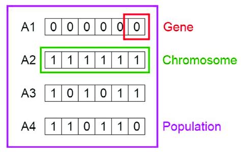 Distinction Between Population Chromosome And Gene Download Scientific Diagram