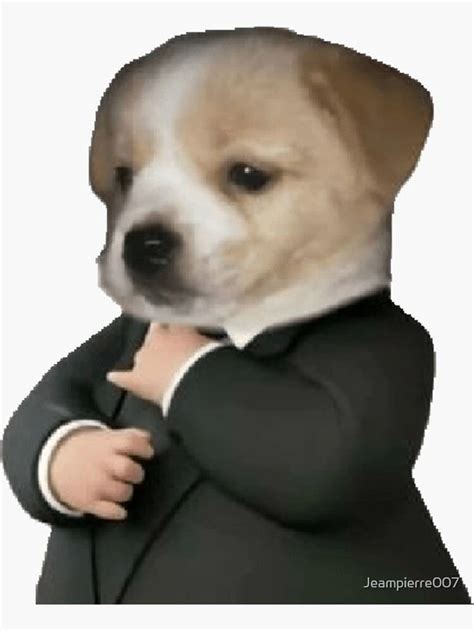 Perro Con Traje Imágenes Humorísticas Imágenes Graciosas Imágenes