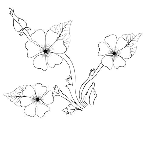 Premium Vector Free Vector Line Art And Hand Drawing Flower Art Black