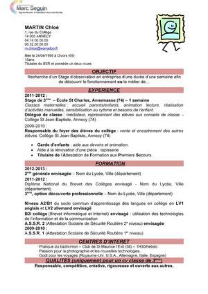 Exemple Cv Stage De Troisieme Laboite Cv Fr