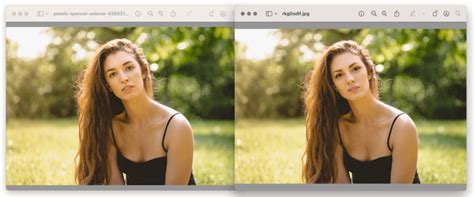 FaceSwapper 免費線上 AI 照片換臉網站兩張照片換臉無浮水印免安裝APP 科技兔