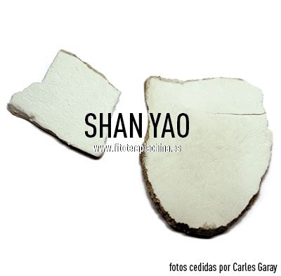 SHAN YAO plantas chinas medicinales y sus características