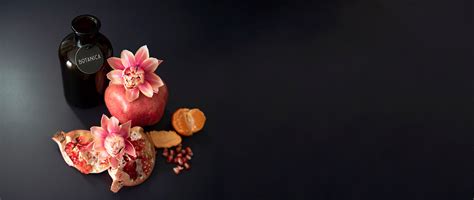 FLOWER CARE – Botanica