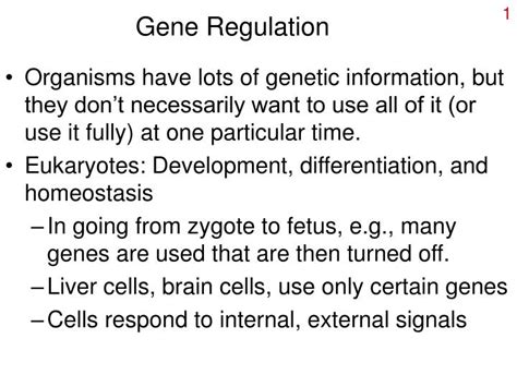 Ppt Gene Regulation Powerpoint Presentation Free Download Id3030340