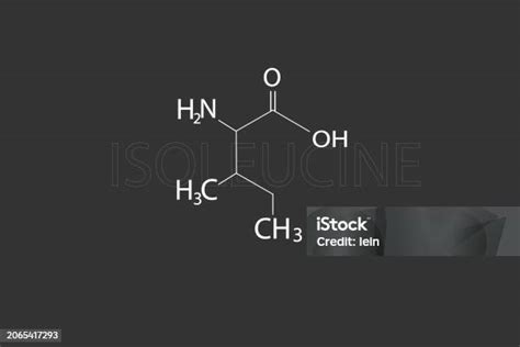 이소류신 분자 골격 화학식 0명에 대한 스톡 벡터 아트 및 기타 이미지 0명 3차원 형태 Drug Istock