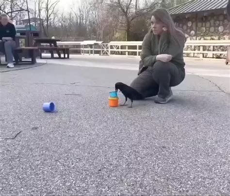 Brian Rayner On Linkedin Startups Founder Fintech Biotech Medtech Blockchain