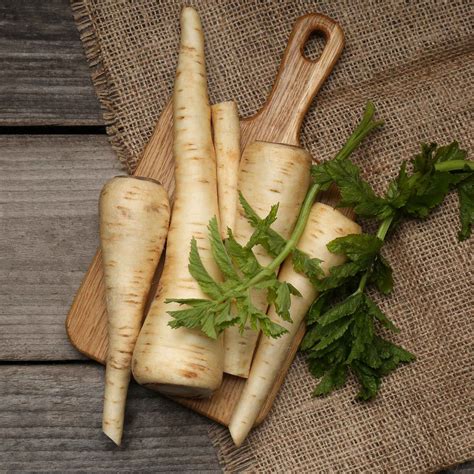 Parsnip Seeds Hollow Crown Vegetable Seeds In Packets And Bulk Eden