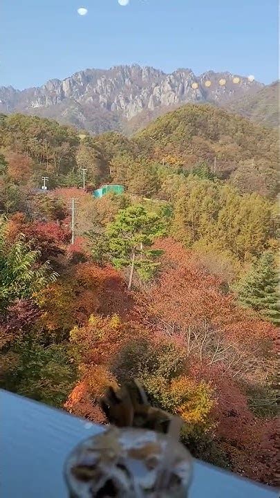 대둔산and단풍나무 View 대둔산자연휴양림 통나무찻집 Youtube