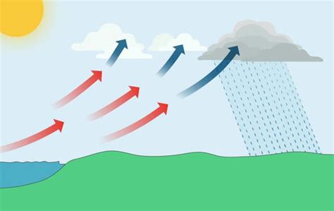Types Of Rainfall Ks3 Y7 Geography Lesson Resources Oak National
