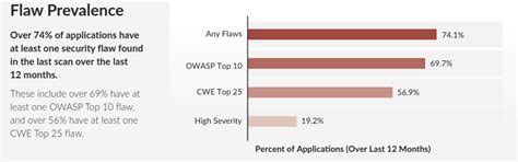 Mitigating Vulnerabilities Elevating Security