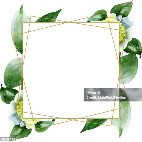 ดอกไม้พฤกษ์ดอกไม้คาเมเลียสีขาว ชุดภาพประกอบพื้นหลังสีน้ํา กรอบชายแดนเครื่องประดับตาราง ภาพประกอบ