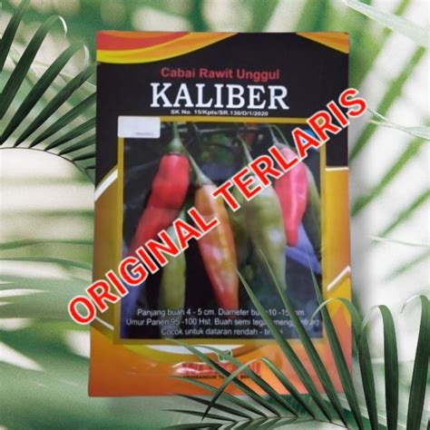 Jual Benih Cabe Rawit Kaliber Cabai Kaliber 10 Gr Kemasan Pabrik Original Shopee Indonesia
