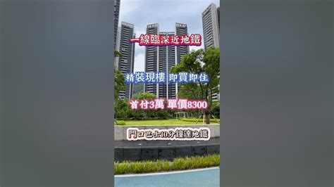 一線臨深近地鐵 精裝現房 首付3萬單價8300惠州樓盤 大亞灣 惠陽 0首付 14號線地鐵 港人回流 港人北上 萬科 惠州買
