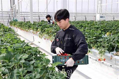 전남도 청년후계농 후계농업경영인 748명 역대 최대 선발 무안군 62명 선발