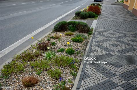 화단은 자갈이 깔린 보도 돌 조약돌 모자이크가있는 거리입니다 봄 전구는 자갈 침대에서 다년생 식물 앞에서 피어납니다 노란색과 빨간색 화분이 피는 둥근 냄비 0명에 대한 스톡