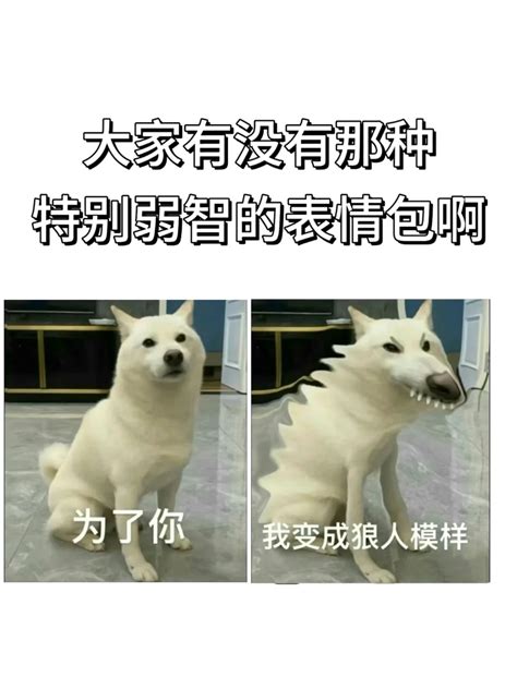 大家有没有弱智的表情包啊