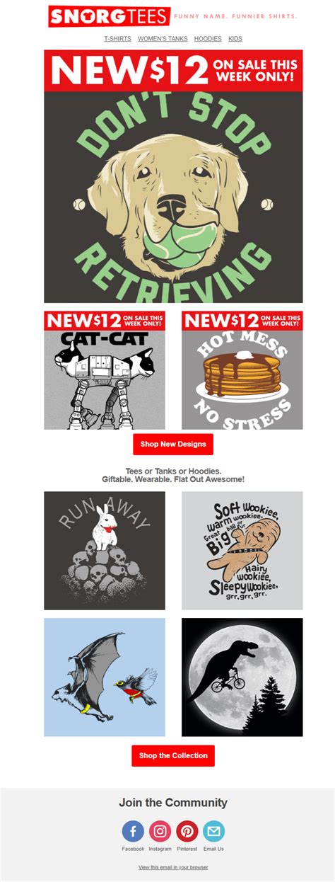 What Is Email Newsletter Definition Examples Tips Video Sendpulse