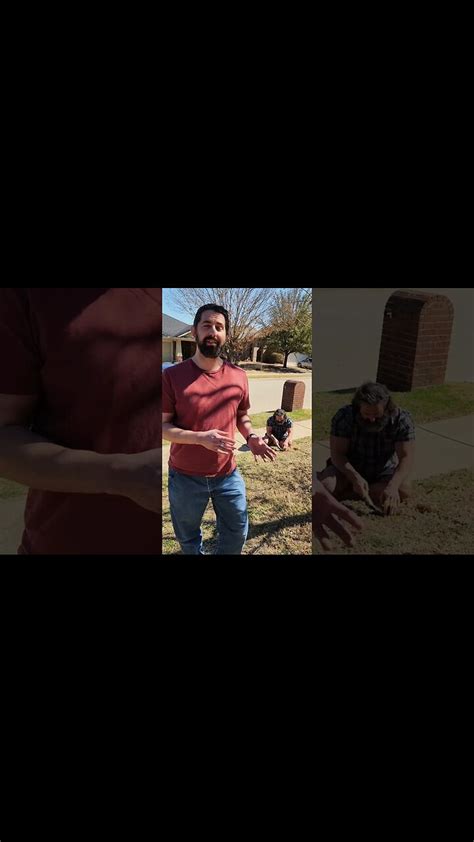 The Creation Saga Continues With The Bearded Bible Brothers Joshua And Caleb