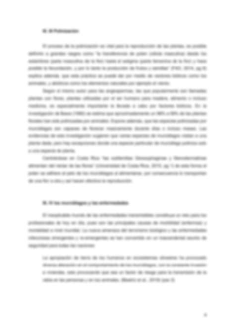 SOLUTION Importancia De Los Murci Lagos En Los Ecosistemas Studypool
