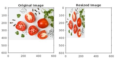 Nearest Neighbor Interpolation Algorithm In Matlab