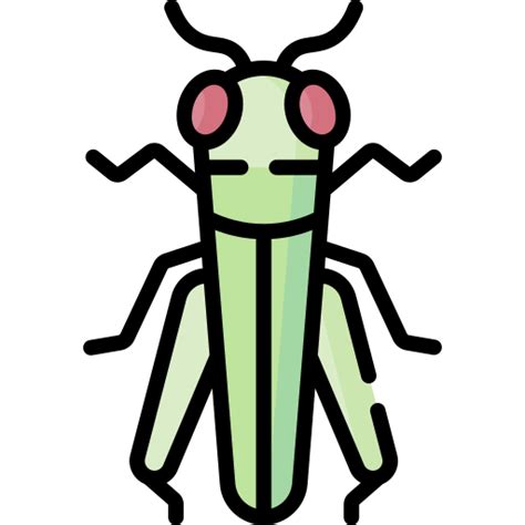 Grasshopper Special Lineal Color Icon