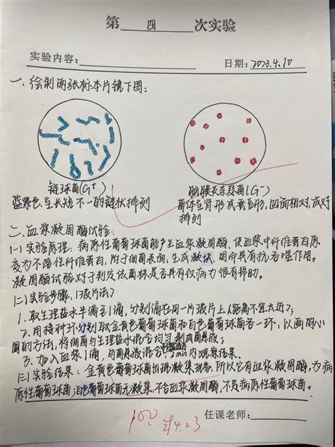 医学微生物学实验报告 知乎