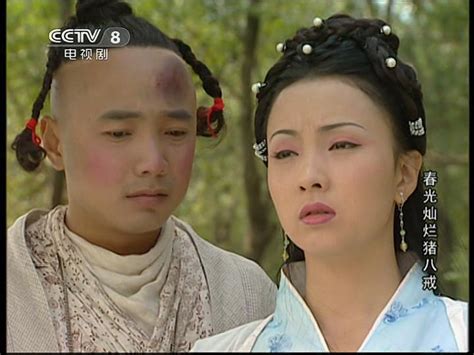 春光灿烂猪八戒 Sunny Piggy电视剧介绍评价剧照演员表剧评 酷乐米