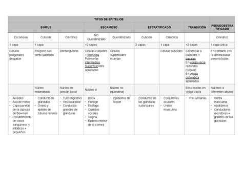 Tipos De Epitelios Tipos De Epitelios Simple Escamoso Estratificado TransiciÓn Pseudoestra