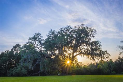 Cellon Oak Park Visit Gainesville