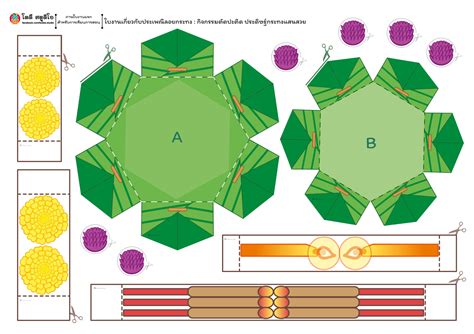 โตดี มาดึกแต่มาแล้วนะคะ😊โตดีจัดทำใบงานวันลอยกระทงใบงานใ