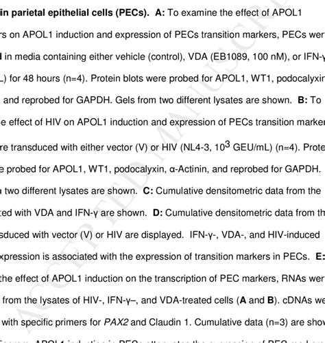 Hiv Interferon Inf γ And Vdr Agonists Induce Apol1 And Transition