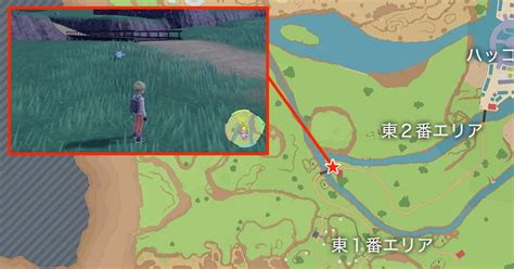 【ポケモンsv】マリルの進化と色違い・夢特性【スカーレットバイオレット】 ゲームウィズ