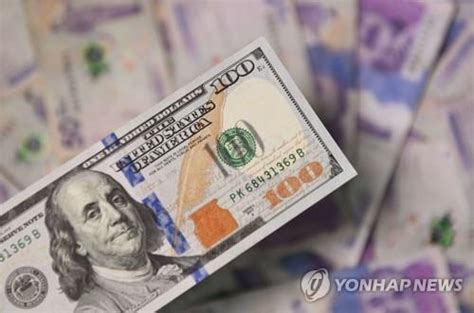 골드만삭스 달러화 추가 강세 여지美 전면 경기후퇴 피할 듯 나무뉴스