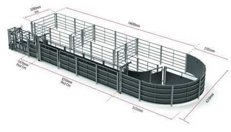 Fixed Cattle Handling Systems Cattle Handling IAE Agriculture