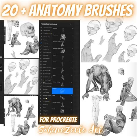 Anime Face Procreate Etsy