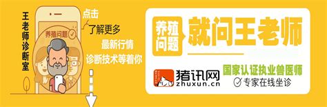 馮永輝：豬價持續下跌超出行業預期屠，屠企殺價是其中的催化劑 每日頭條