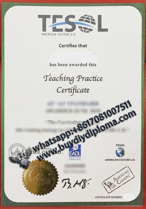 Why Dont Take A Tesol Certificate At Once