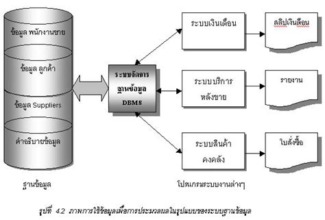 ระบบสารสนเทศ ระบบจัดการฐานข้อมูล