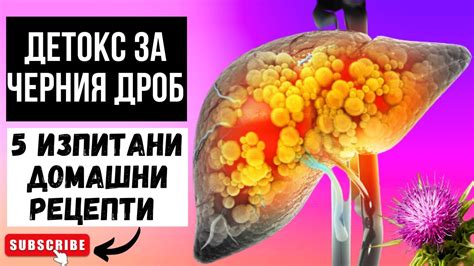 ИЗЧИСТЕТЕ черния дроб за 7 дни ТЕЗИ рецепти ще ви спасят Най ефективните ДЕТОКС рецепти тук