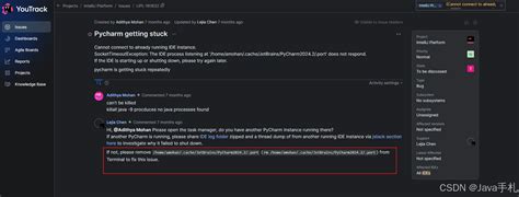 【bug】cannot Connect To Already Running Ide Instancesockettimeoutexception 技术栈