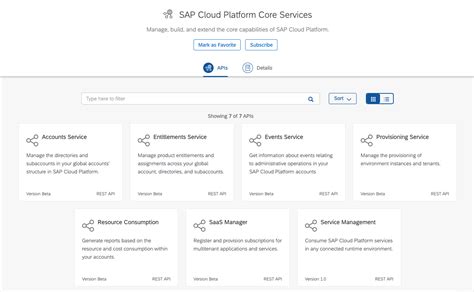 Introducing Cloud Management Tools CLI And APIs SAP Community