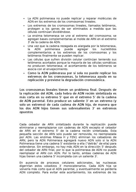 ReplicaciÓn Del Adn Resúmenes De Biología Molecular Docsity