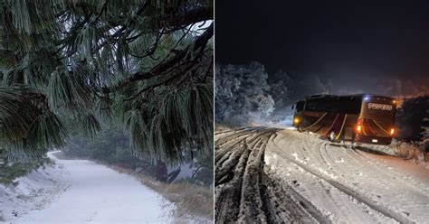 Nevada En Sonora Dejó Carreteras Congeladas Viajeros Atrapados Y