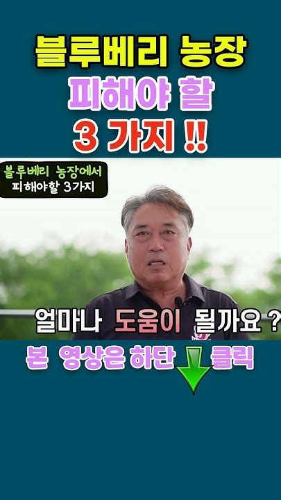 농장에서 피해야할 3가지 베리드림블루베리티비 Youtube