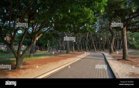 Ruta Peatonal En El Complejo De Tumbas Daereungwon Tomada Al Atardecer