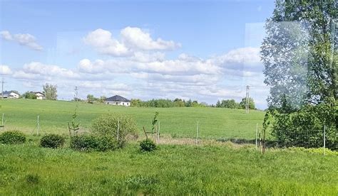 Wycieczka Do Osin Samequizy