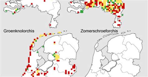 Planten Uit De Habitatrichtlijn Compendium Voor De Leefomgeving