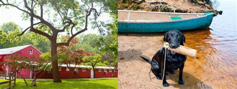 The 7 Most Agonizing Sex Injuries On Record