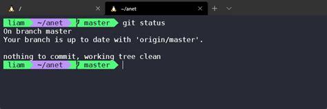 Win10 Terminal Wsl 2 安装配置指南，精致开发体验 知乎