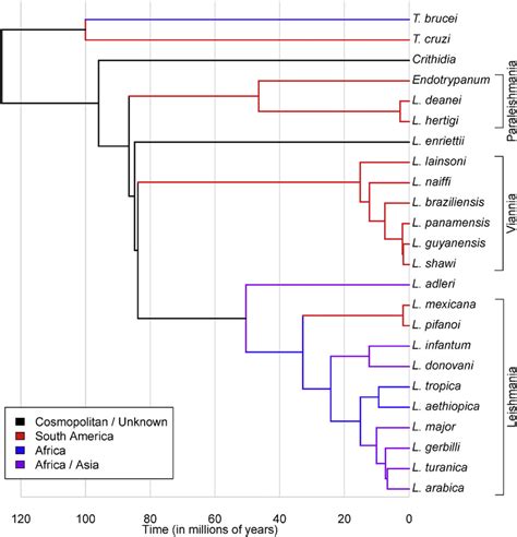 Dated Phylogeny Based On 49 Genes Constructed With Reltime Kumar Et